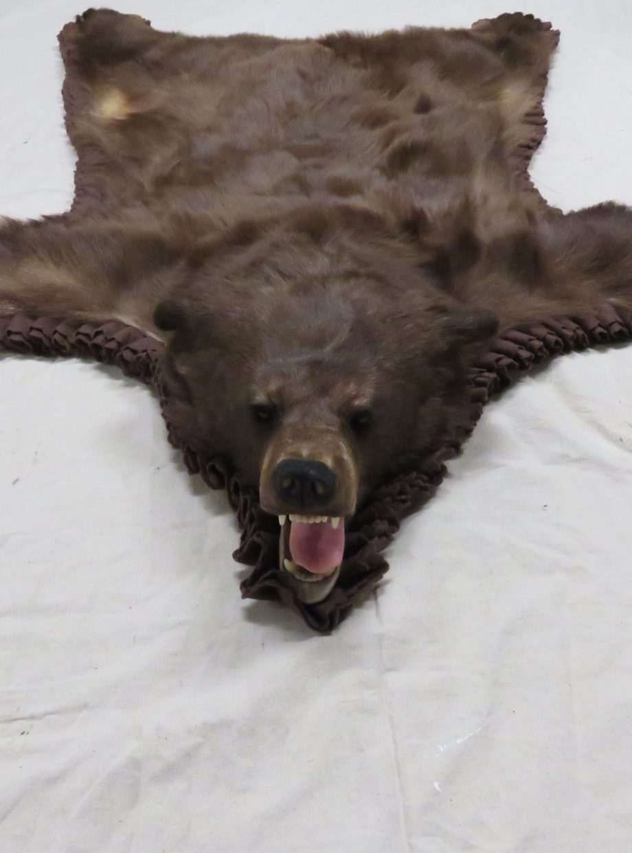 Brown Bear Taxidermy Rug BB-107 – Mounts For Sale