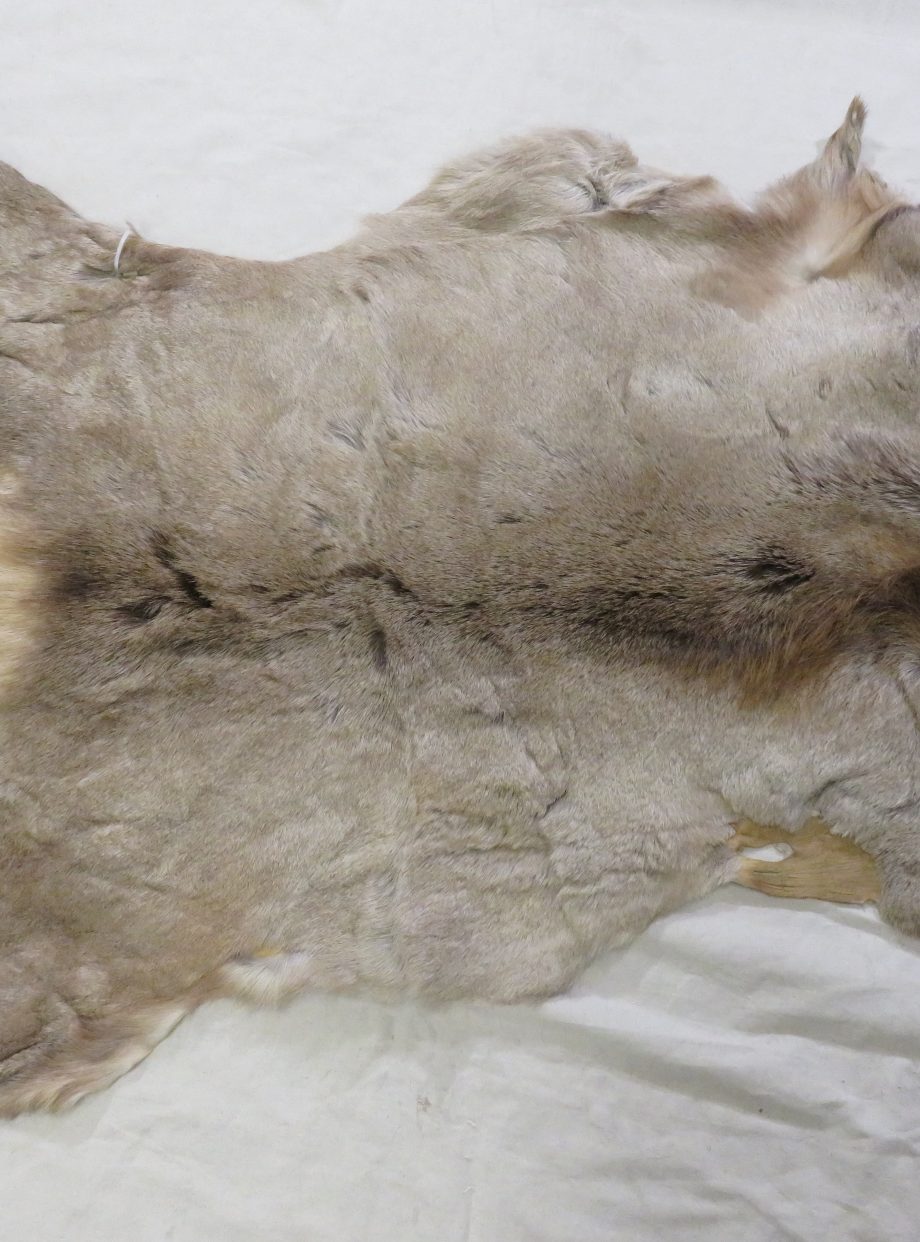 Elk Skin Taxidermy Hide E-108S – Mounts For Sale