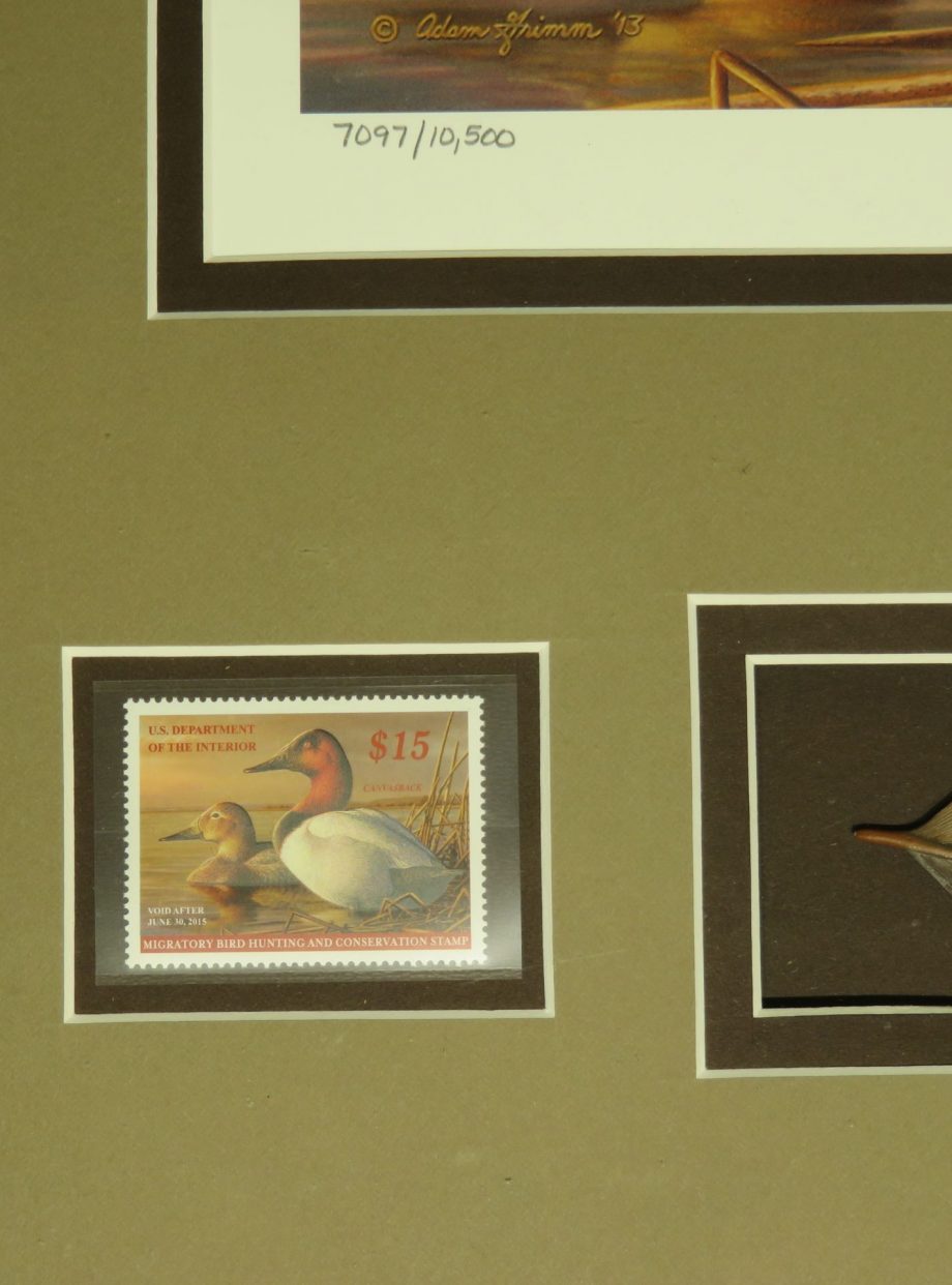 "Ducks Unlimited" Framed Print/Stamp & Medallion. Art work by Adam ...