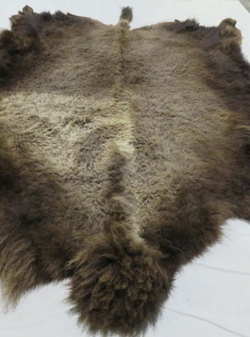 Bison/Buffalo Skin/Hide for sale. O-117B – Mounts For Sale